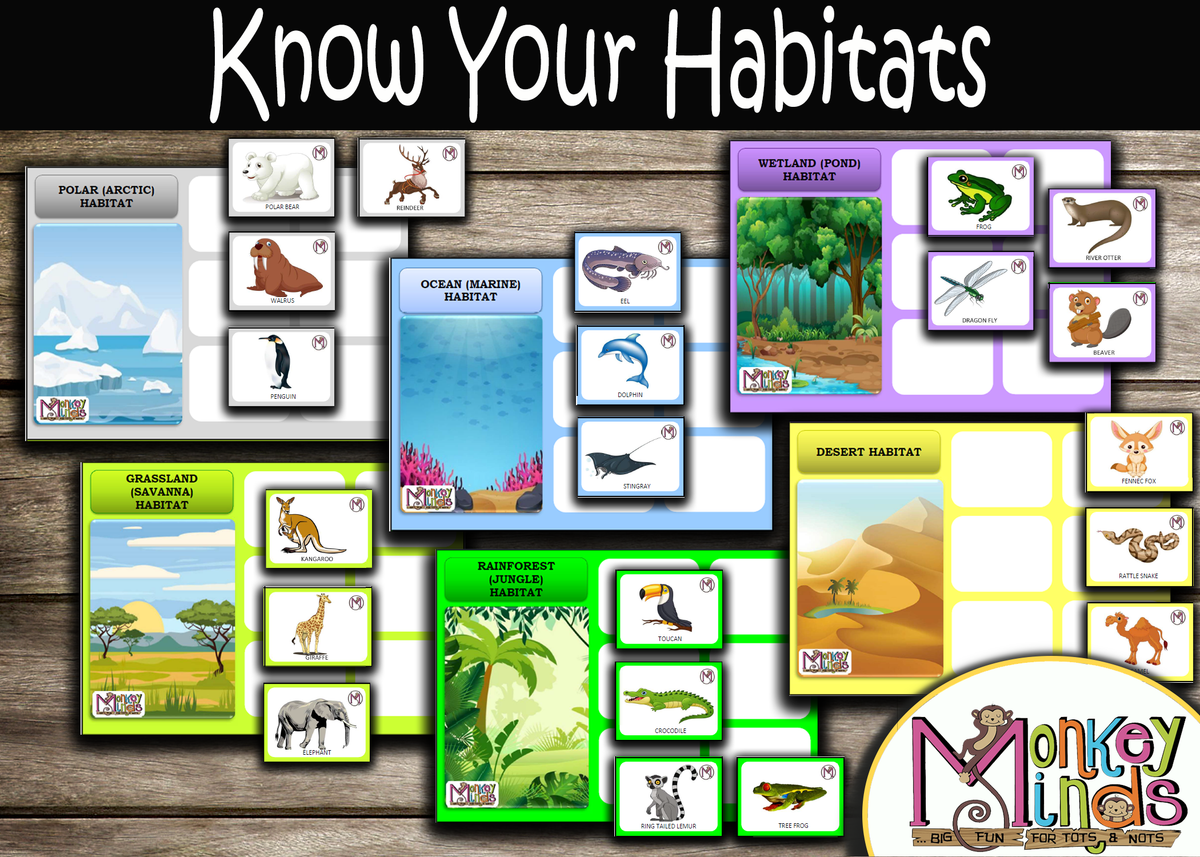 SORTING MATS - KNOW YOUR HABITATS – Monkey Minds