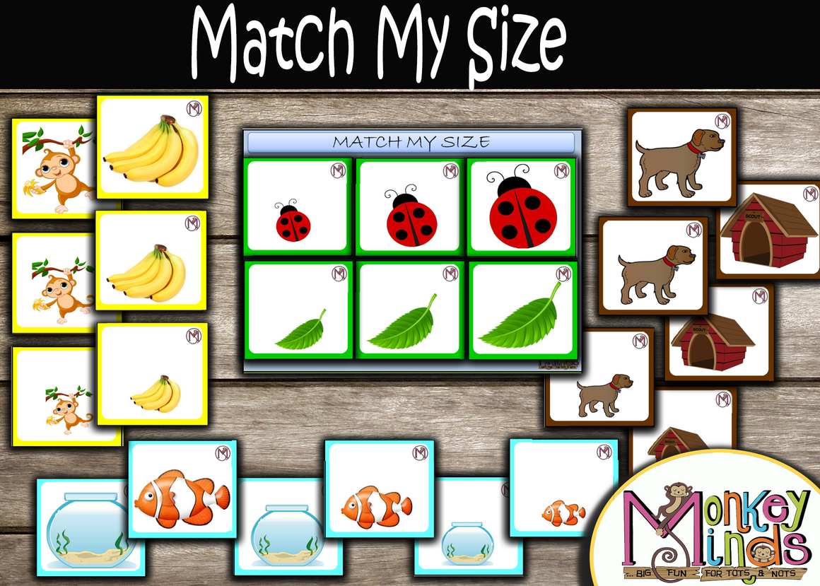 Sequencing - Order & Pattern – Monkey Minds